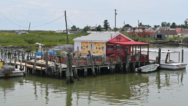 5 things to know about Tangier Island, Virginia – Trips of Discovery